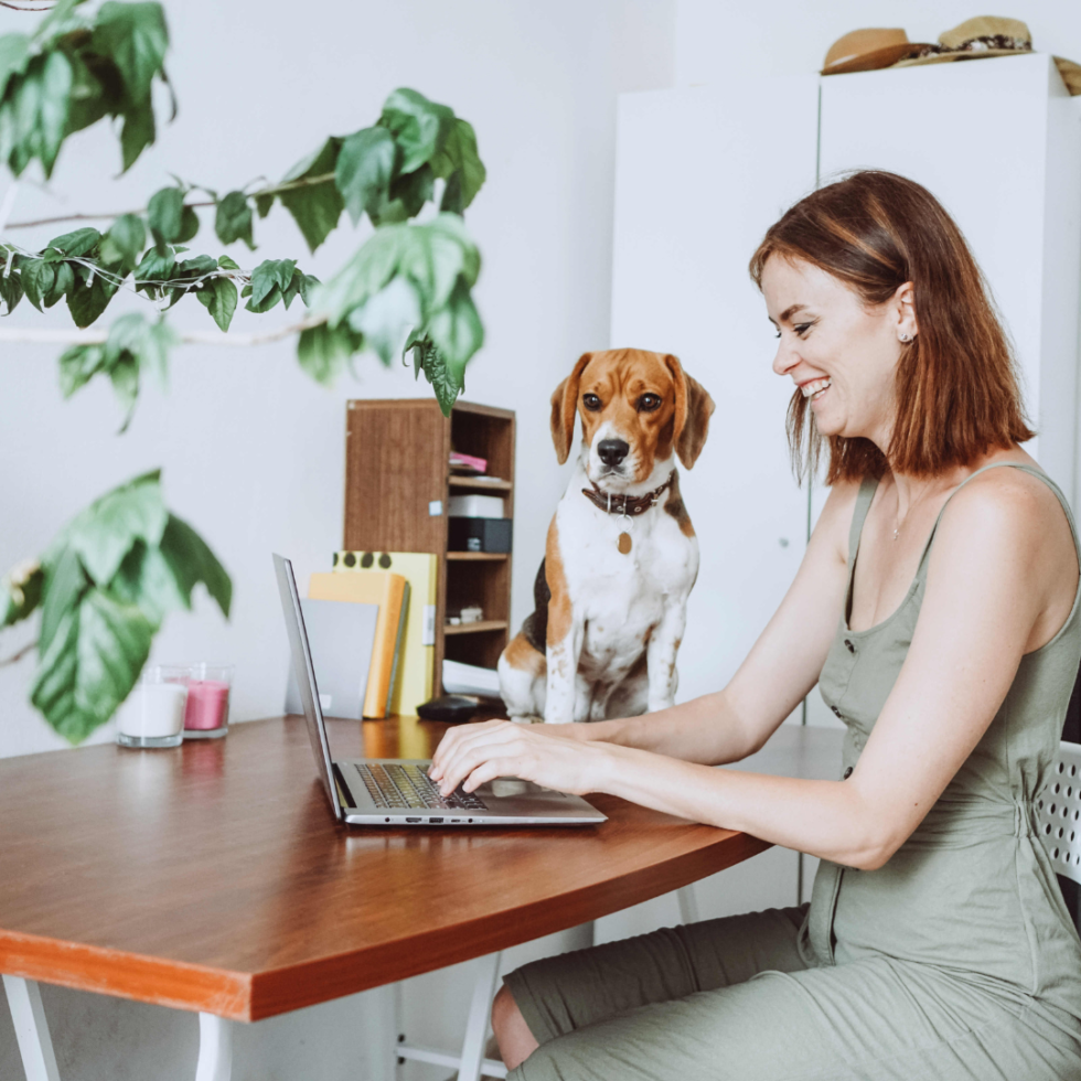 Take Your Dog To Work Day | ParaMount Pet Care Pet Sitting