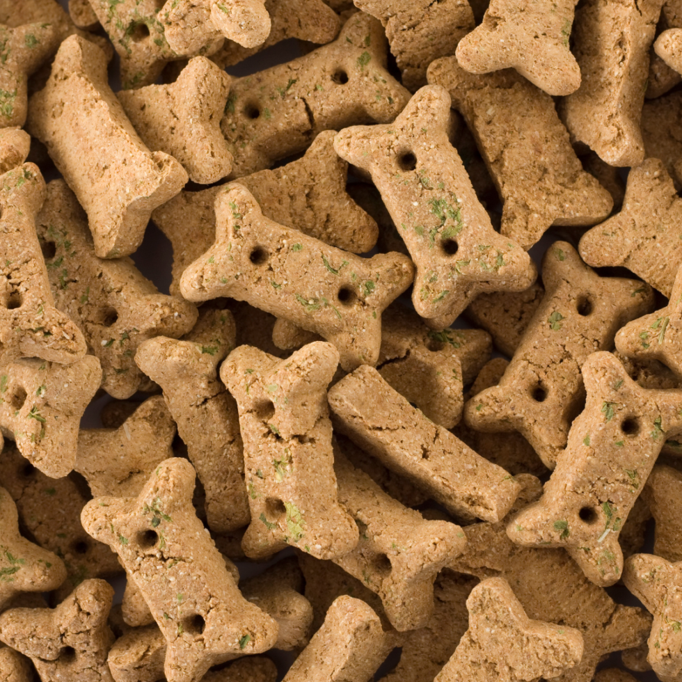 National Dog Biscuit Day | ParaMount Pet Care Pet Sitting