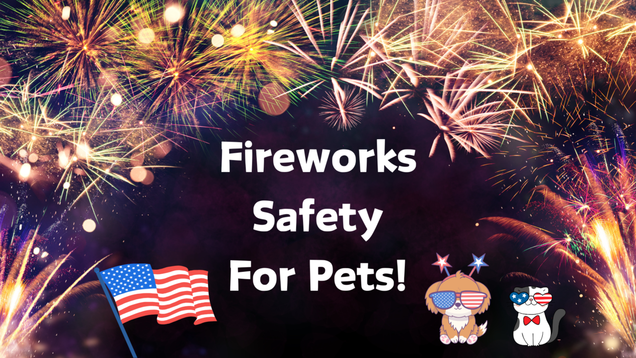 Fireworks Safety For Pets | ParaMount Pet Care Pet Sitting